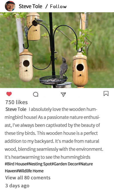 Outfany Wooden Hummingbird House - LUMISUM