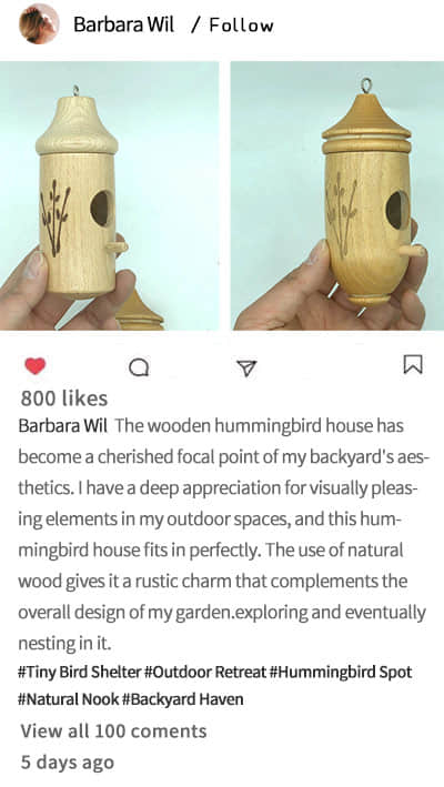 Outfany Wooden Hummingbird House - LUMISUM