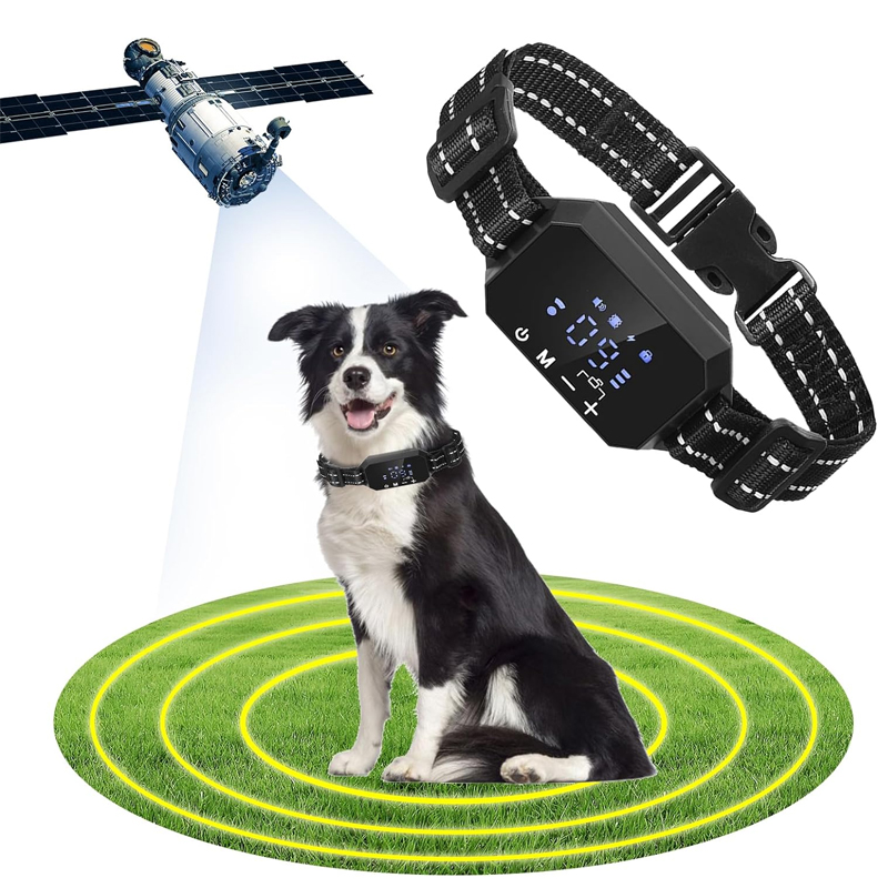 How This Small, Lightweight Device Ends All My Dog's Bad Behaviors In ...